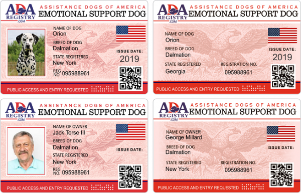 ASSISTANCE DOG ID CARD GALLERY - Official ADA Service Dog Registry Site