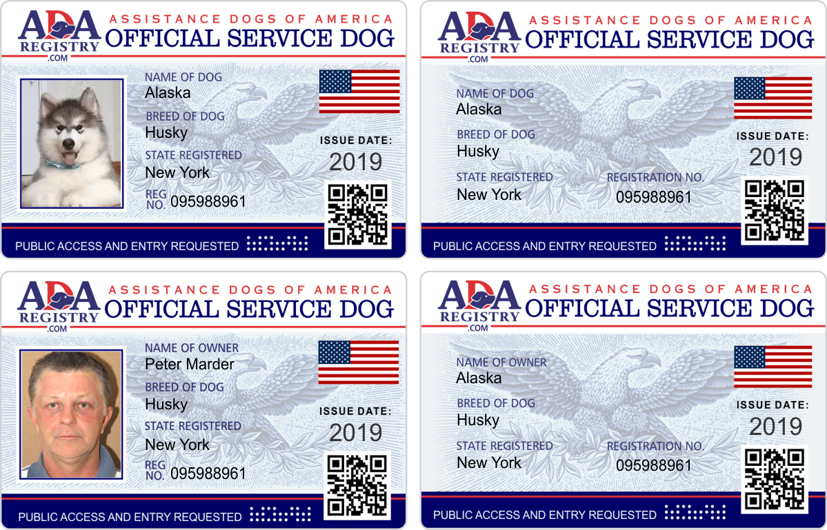 Example Service Dog ID Cards