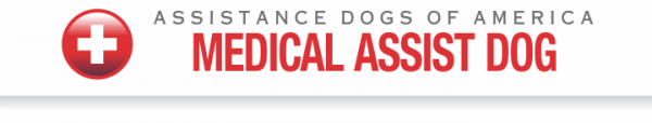 Types Of Assistance Dogs | Official ADA Service Dog Registry Site