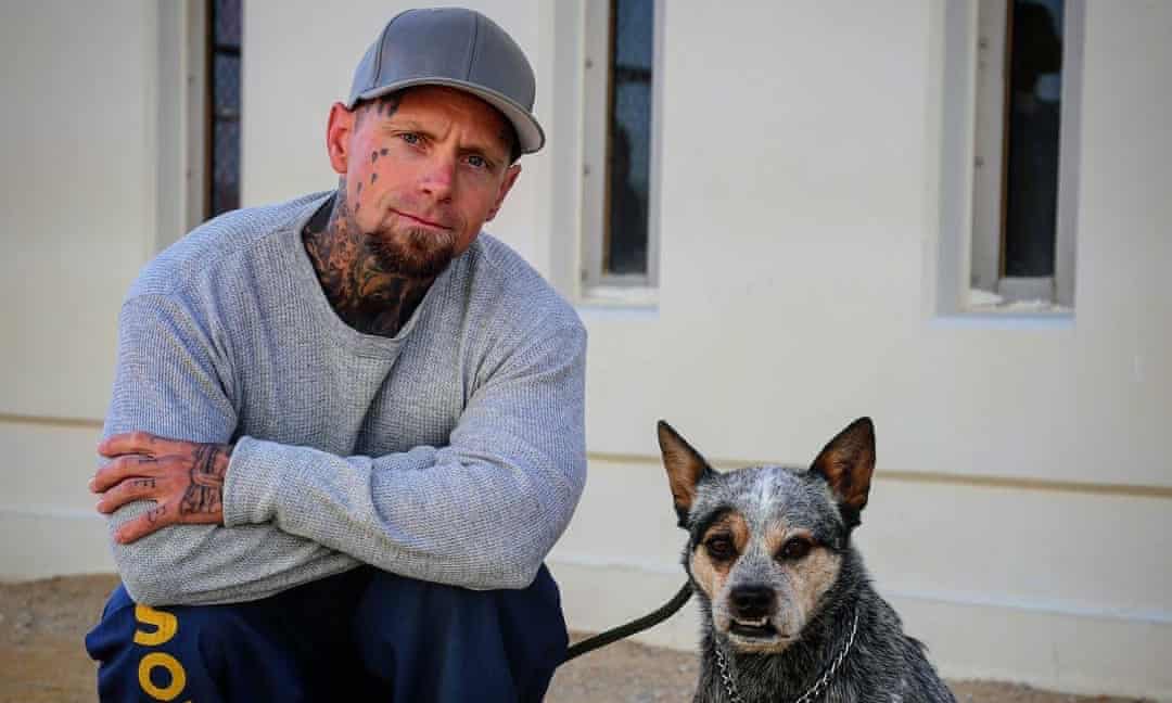 Pets in prison