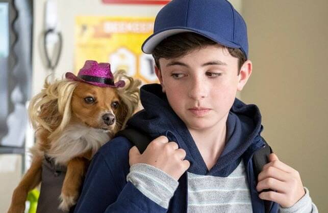 NETFLIX FEATURES THE HEALING POWER OF DUDE AND EMOTIONAL SUPPORT DOG