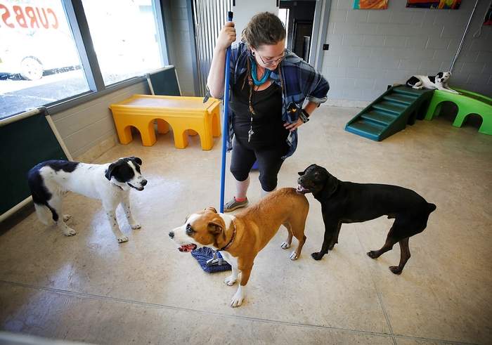 Pet Workers Wonder Why They Get lumped In With Human Personal-Care ...