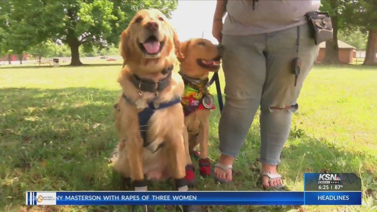Service Dog Handler - Official ADA Service Dog Registry Site