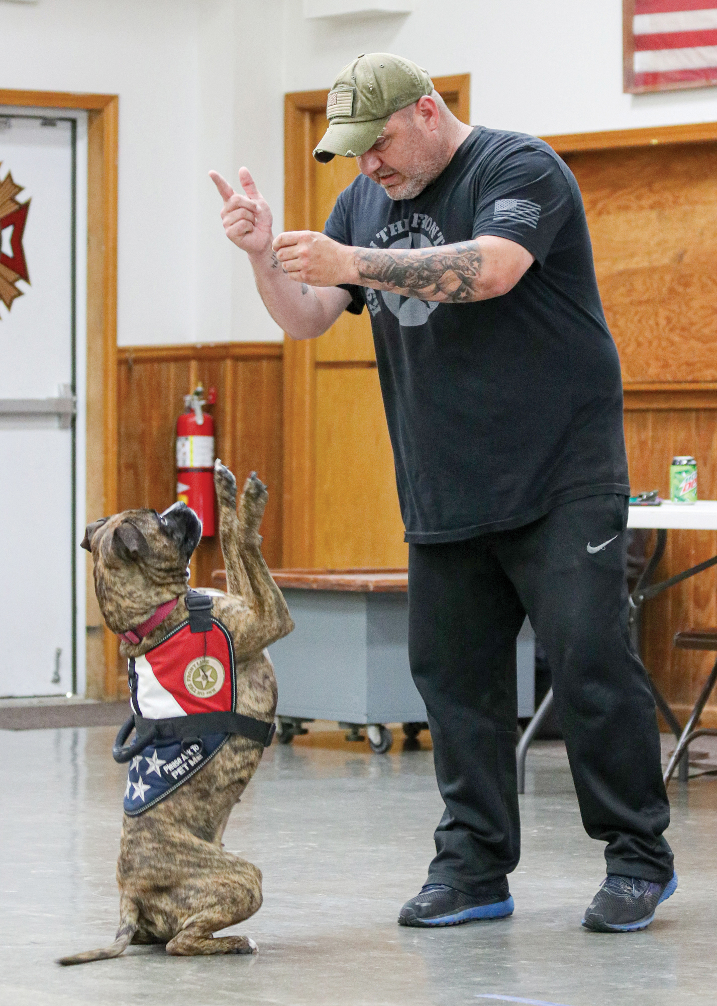Service Dog Sobee