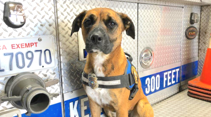 Rhonda Joins Fire Team