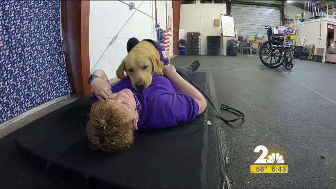Paws Program