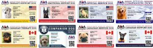 Assistance Dog Registration | Official ADA Service Dog Registry Site