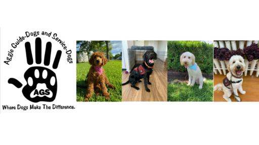 Service Dogs Keep A Distance