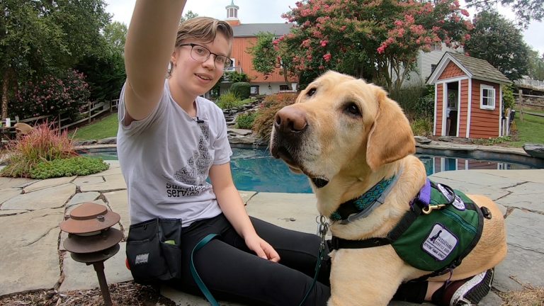 Service Dog Training Program