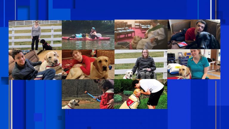 Service Dogs Graduate