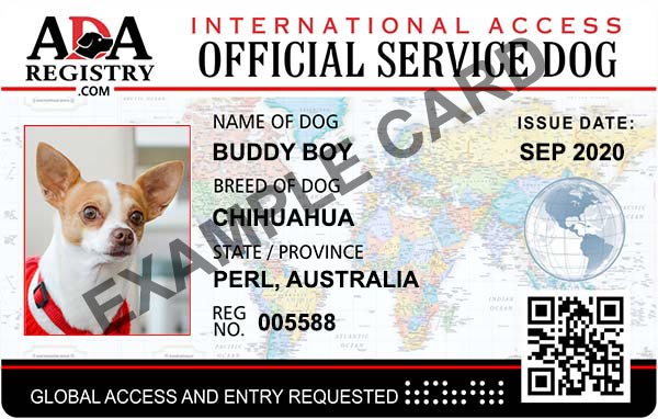 Instant Service & Support Dog Documents | Official ADA Service Dog ...