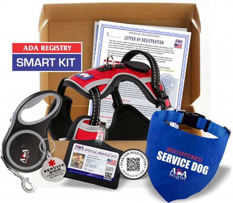 Types Of Assistance Dogs | Official ADA Service Dog Registry Site