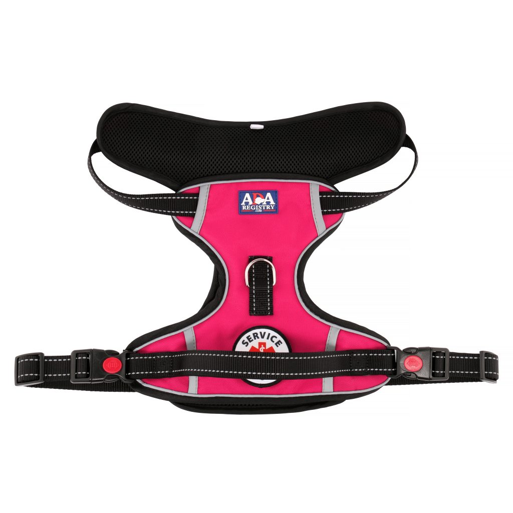 PINK Vests Are Back!!!