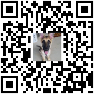 Make A QR Code With Your Dogs Picture & Link To Your Registration ...