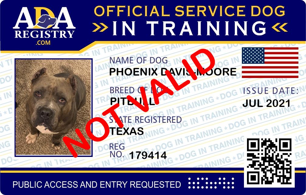 Service Dog In Training Registration for Phoenix Davis-Moore | Official ...