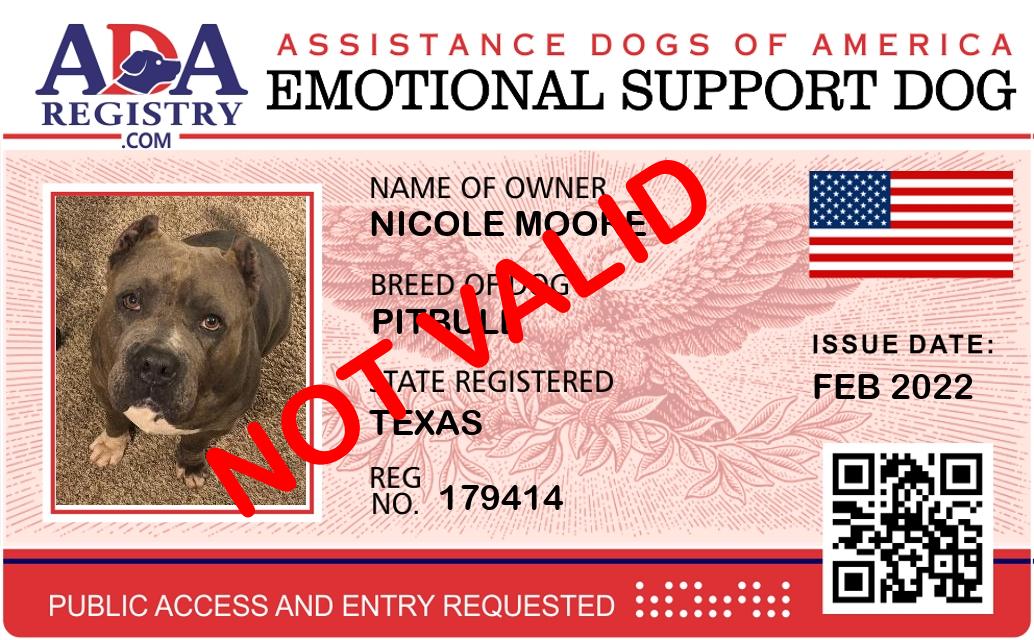 Service Dog In Training Registration for Phoenix Davis-Moore | Official ...