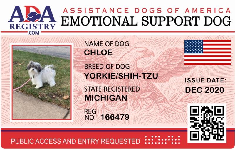Emotional therapy dog | Official ADA Service Dog Registry Site